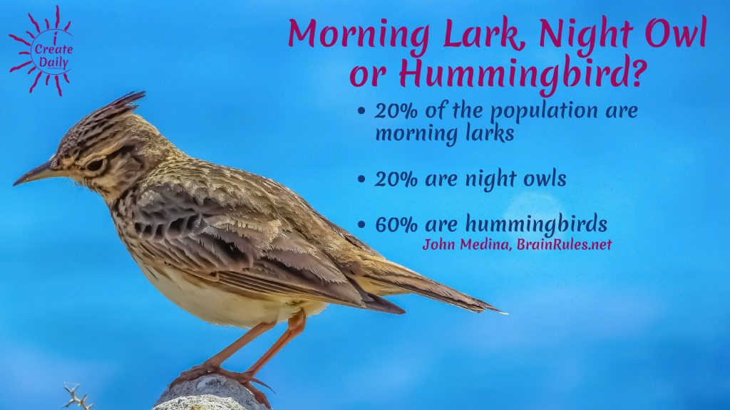 Morning Lark, Night Owl or Hummingbird? - iCreateDaily Goals, Habits ...