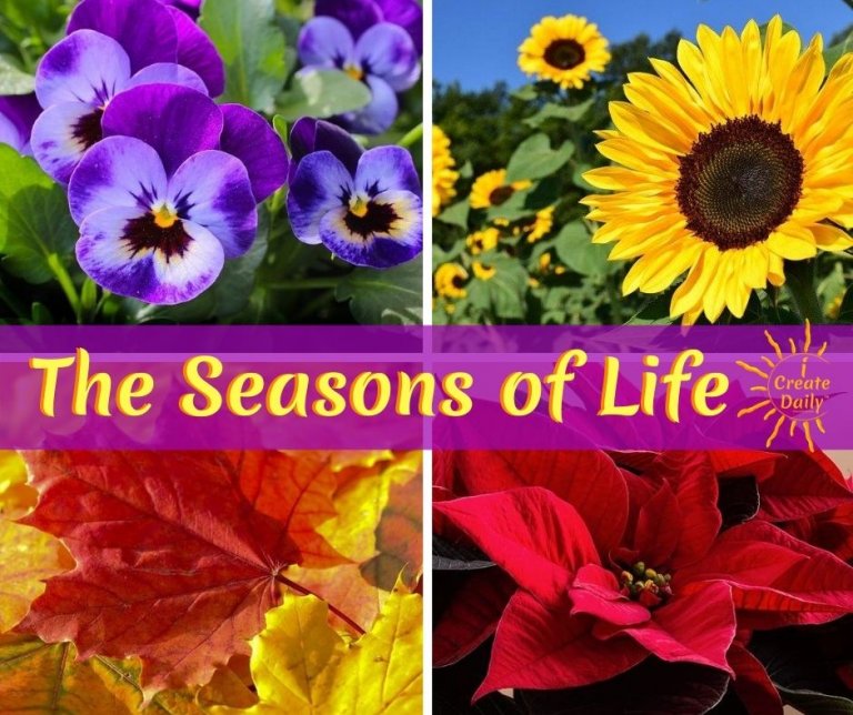 Seasons of Life Metaphor for Life and Business - iCreateDaily
