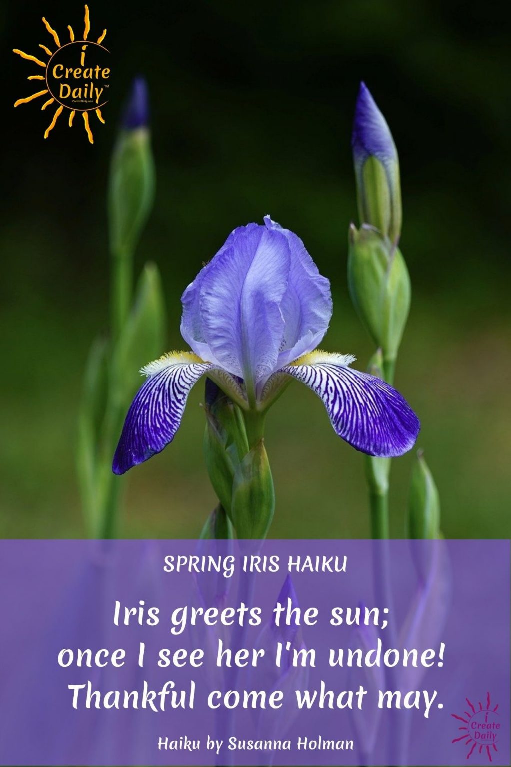 Spring Haiku Poems to Put a Spring in Your Step | iCreateDaily