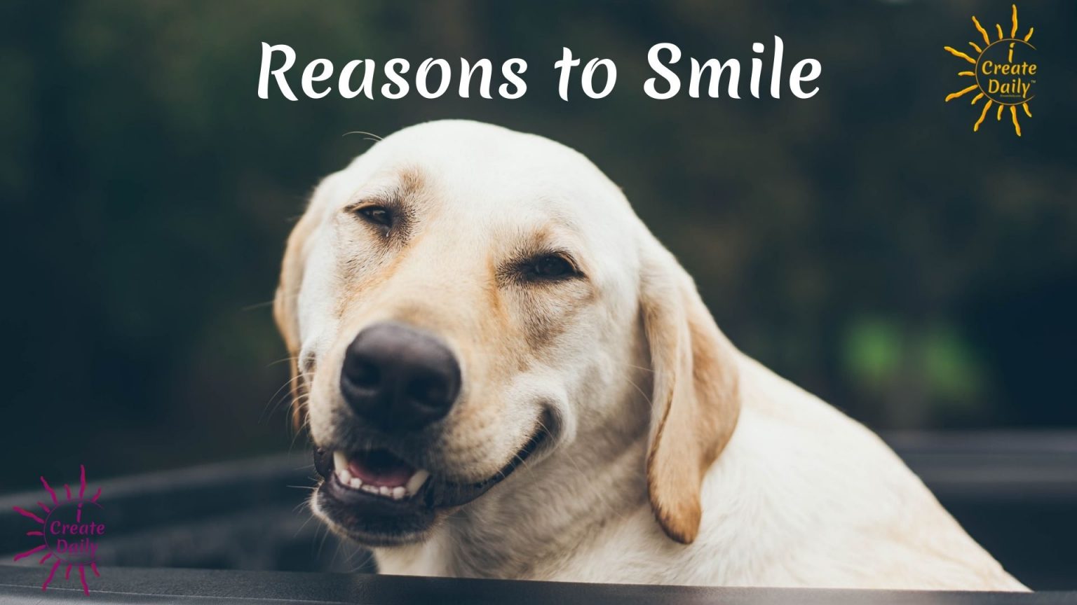 100 Reasons to Smile Today and Any Day - iCreateDaily