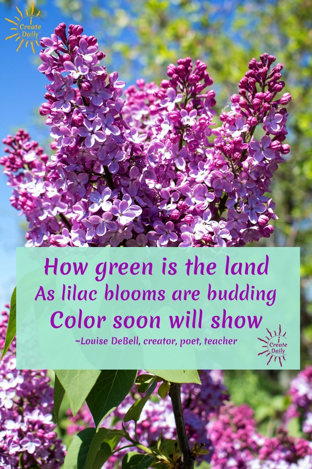 Spring Haiku Poems to Put a Spring in Your Step - iCreateDaily