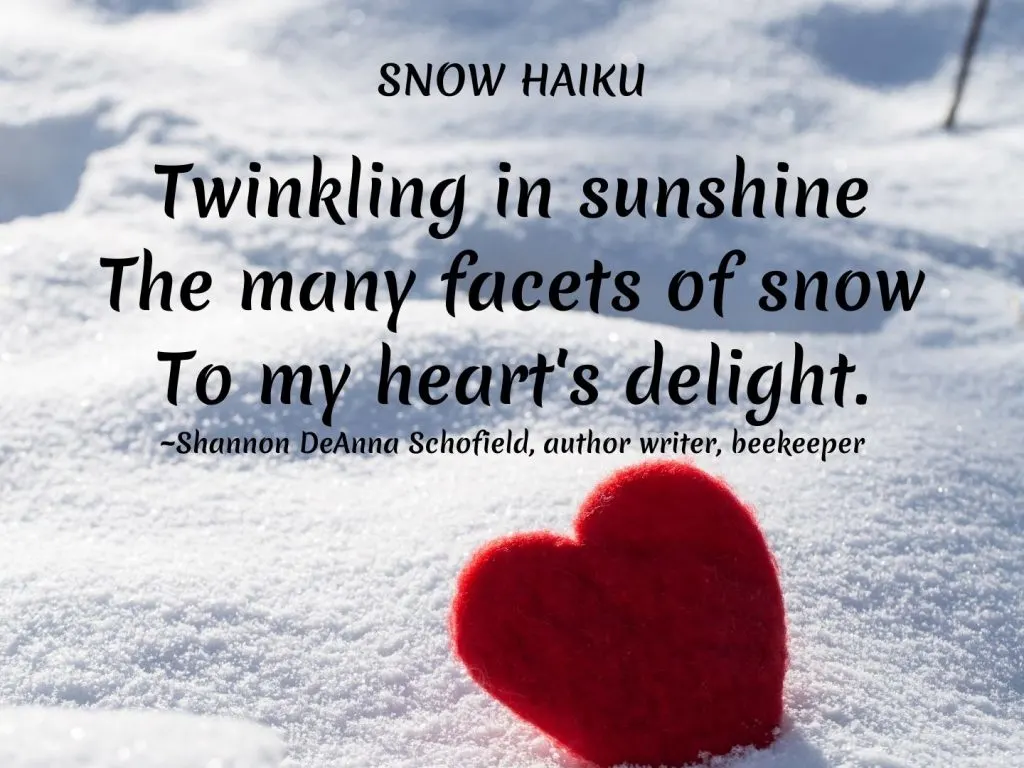 Winter Haiku Poems