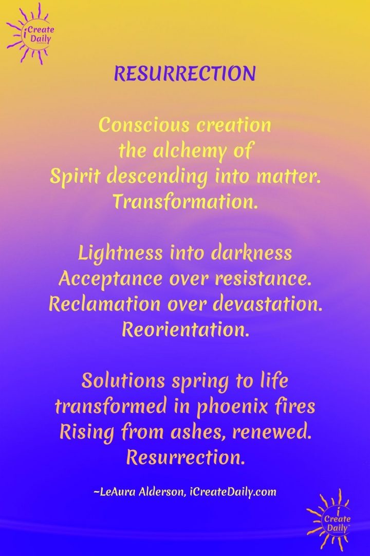 Conscious Creators - Dreaming into Being - Entrepreneurs